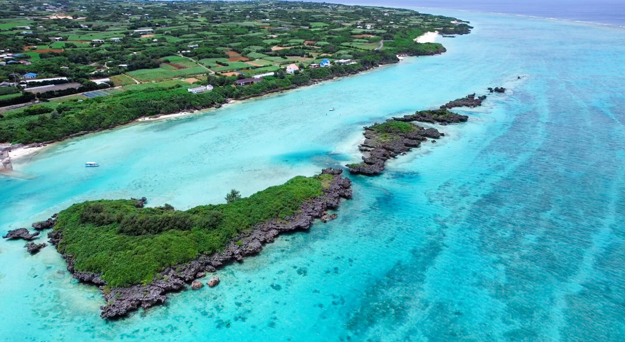Explore the Beauty of Yoron Island: Recommended Spots - Mobility and ...